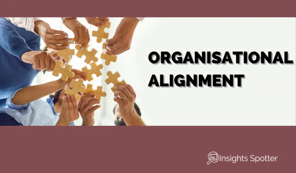 Organisational Alignment | Insights Spotter