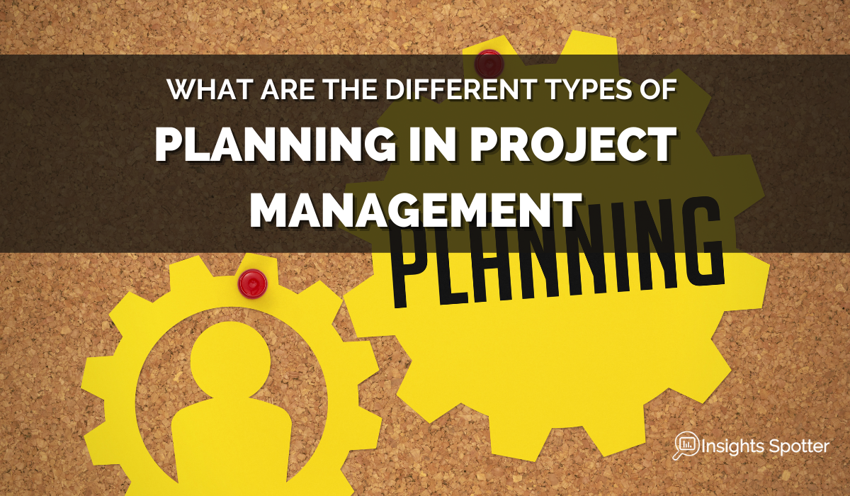 Navigating Project Management in a Matrix Organization: Challenges and Solutions | Insights Spotter